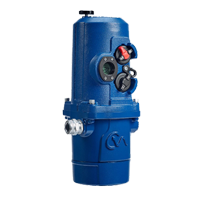 CONTROL VALVE ACTUATORS - Rocky Mountain Valves & Automation